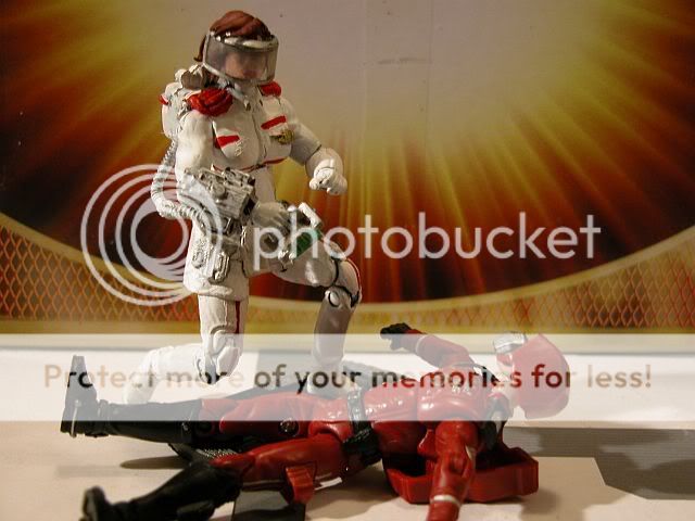 "Lady Sam" (Samantha) by Vidmouse - HissTank.com