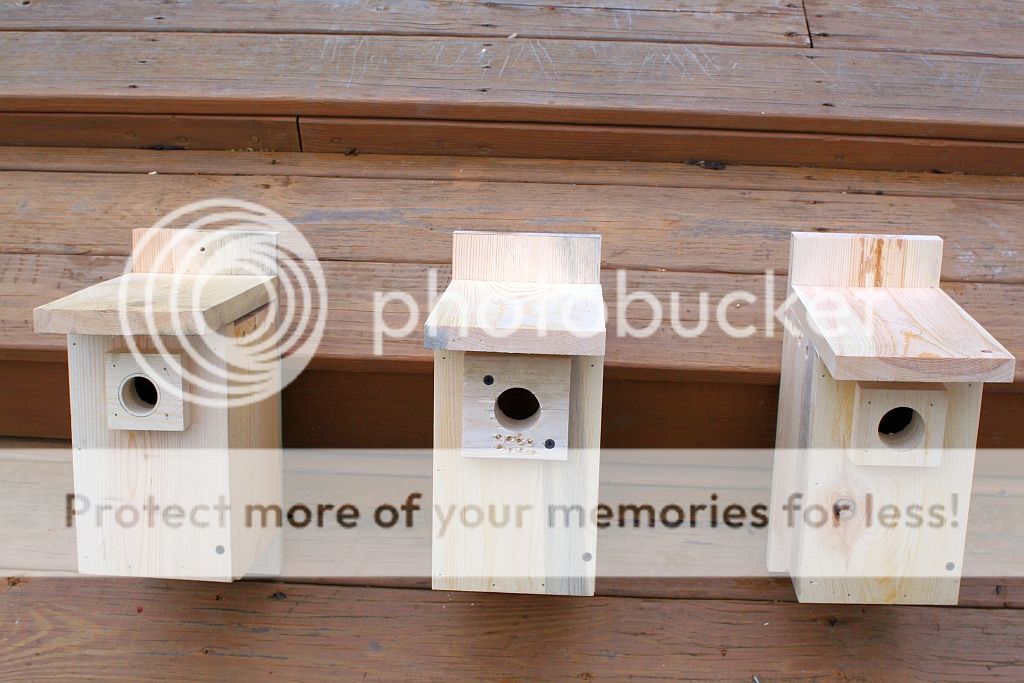 Bluebird nest box plans | Michigan Sportsman Forum